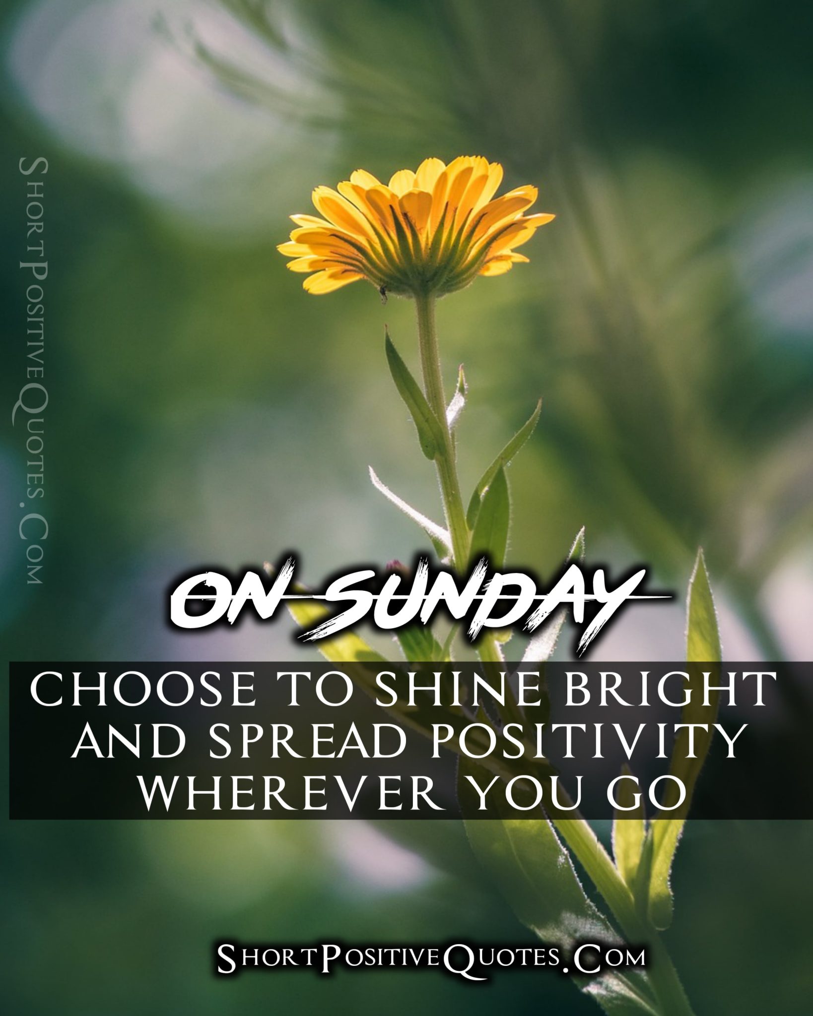 Motivational Quotes for Sunday - Energize Your Mind and Spirit - Short ...