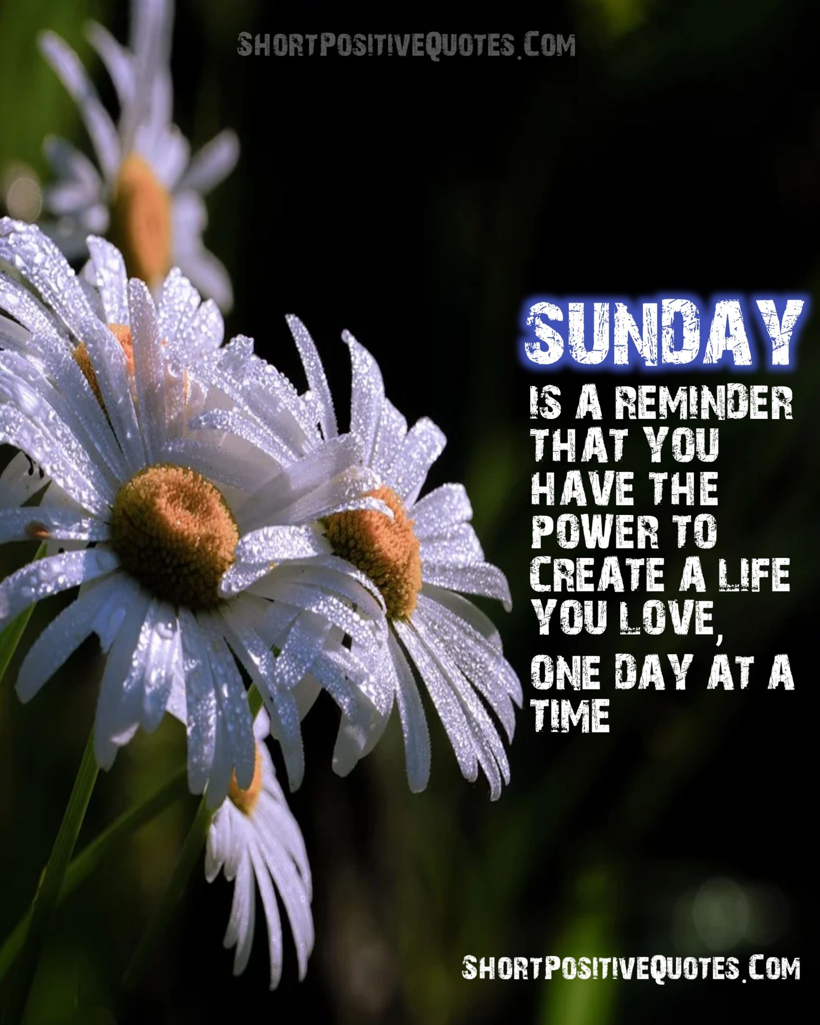 Motivational Quotes for Sunday - Energize Your Mind and Spirit - Short ...